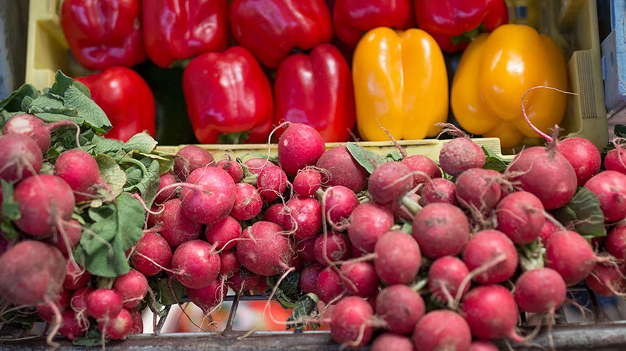 Cape Of Storms To Come
